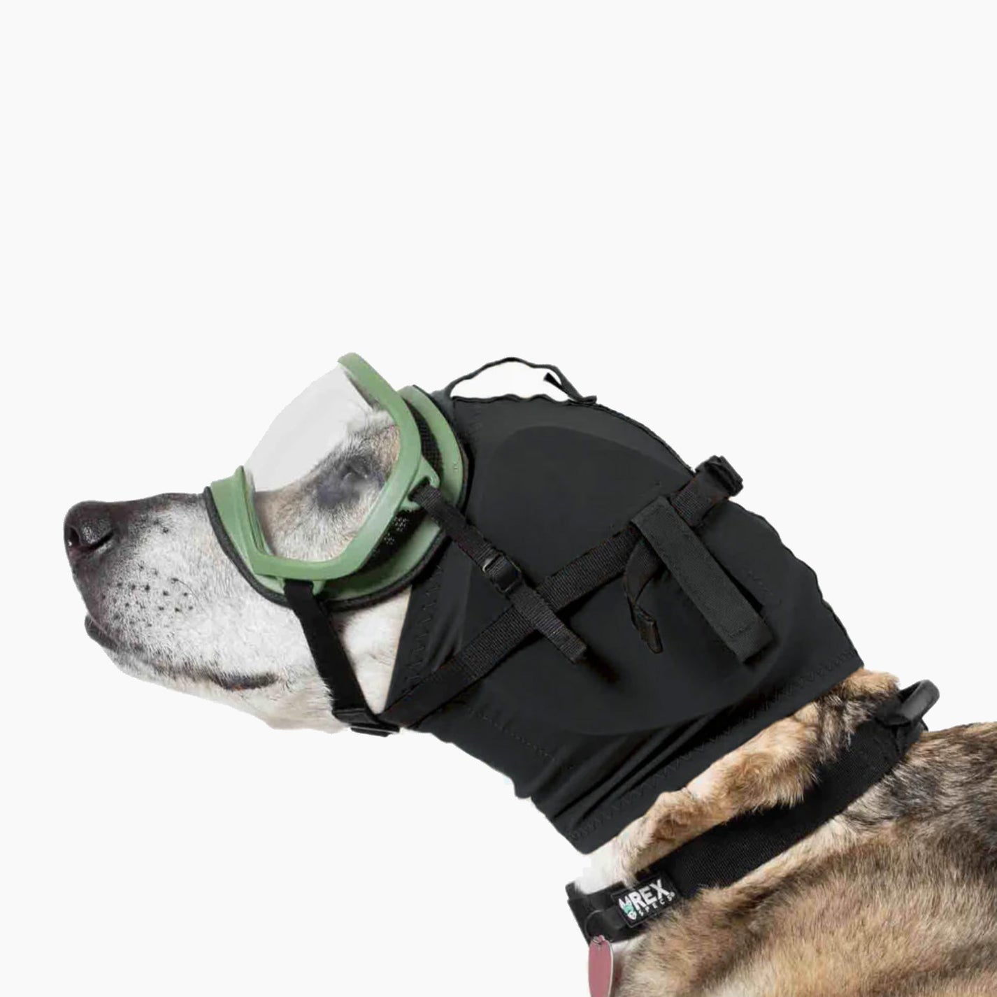 Rex Specs Ear Pro – Hiking Dog Co.