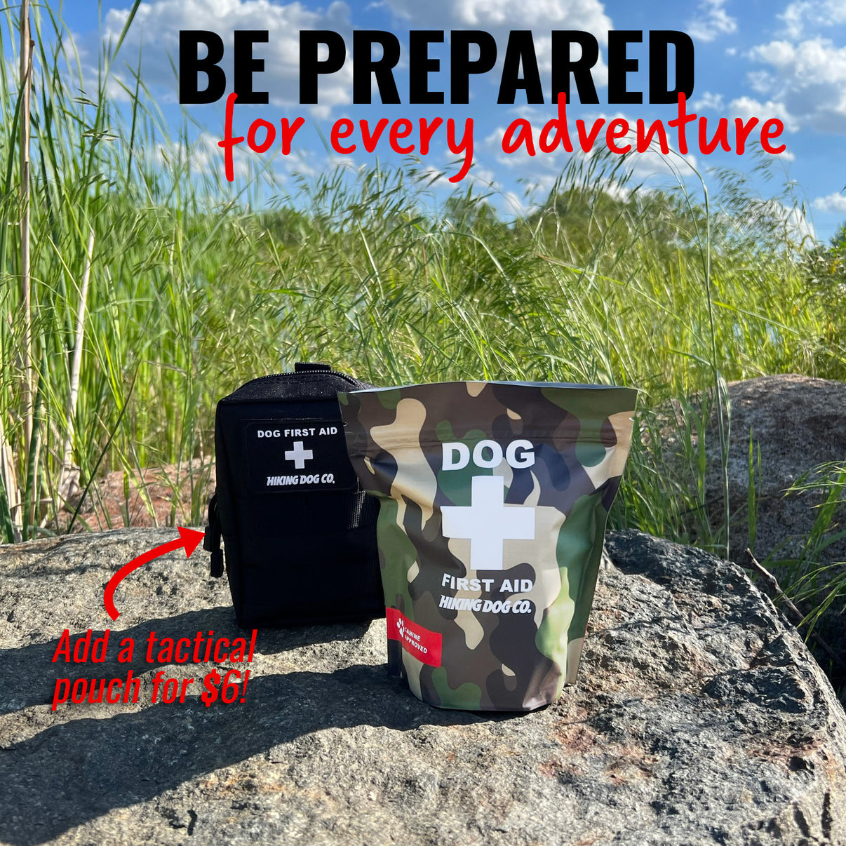 Dog First Aid Kit For Hiking | Hiking Dog Co.